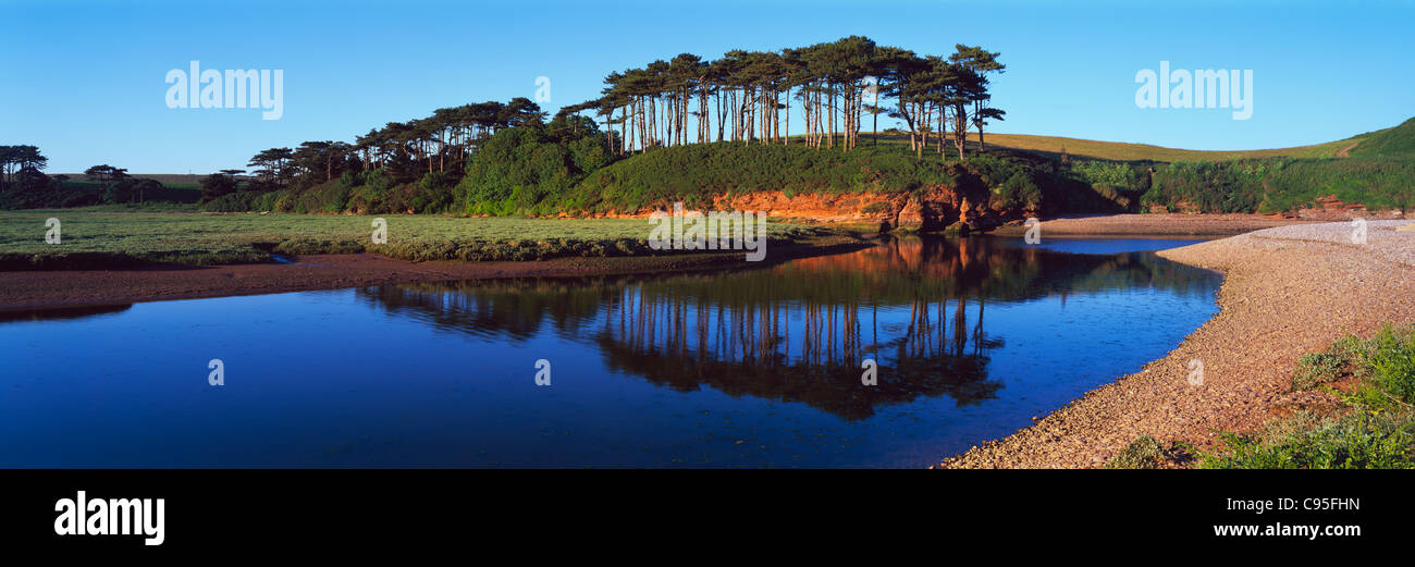 Evening light over the River Otter Estuary in the Otter Estuary Nature ...