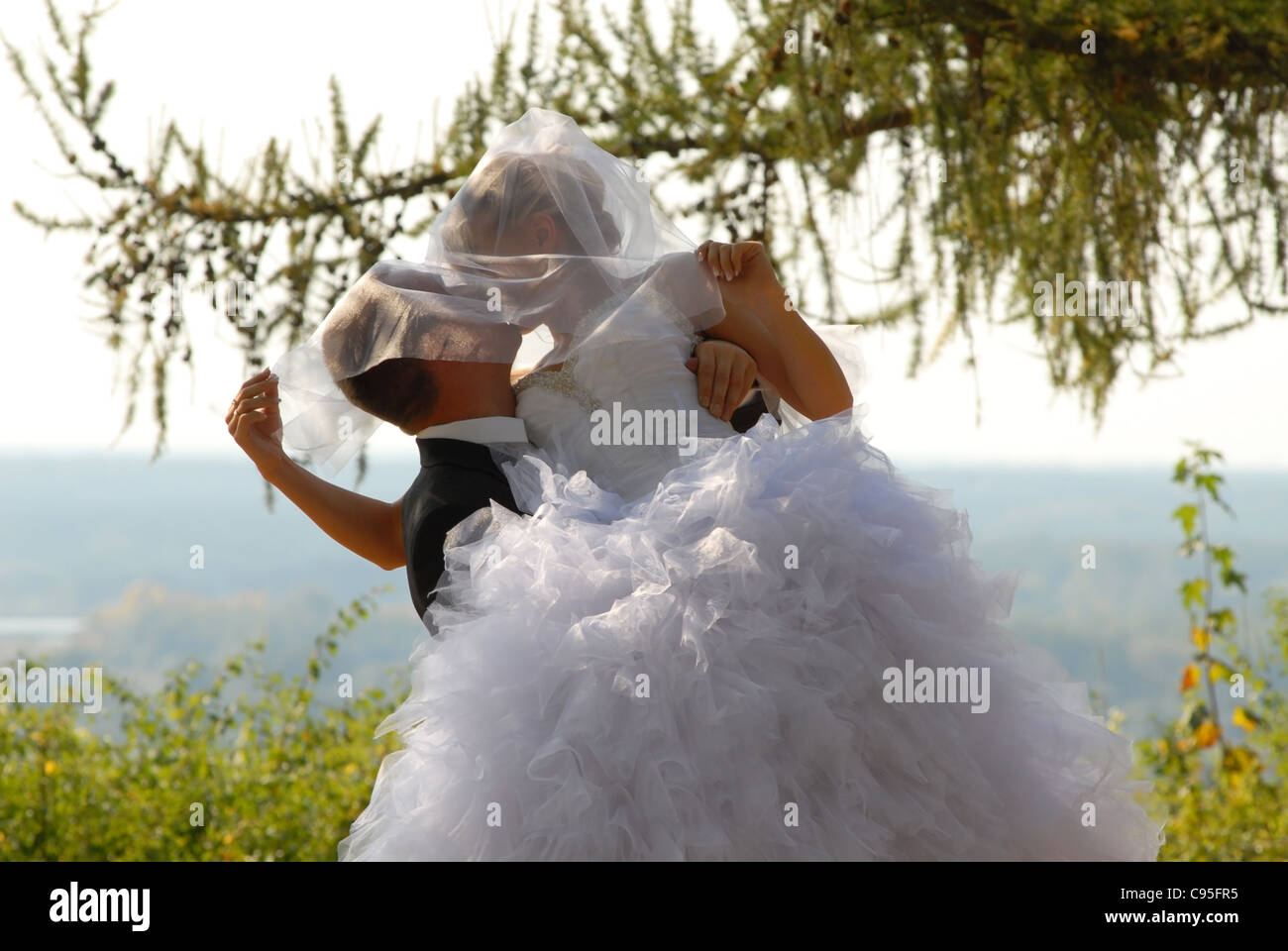 picture bride and groom wedding Stock Photo - Alamy