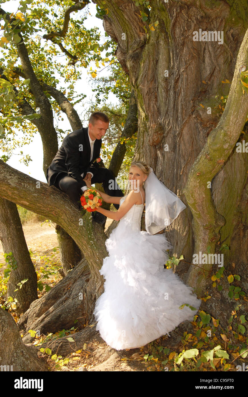 picture bride and groom wedding Stock Photo - Alamy