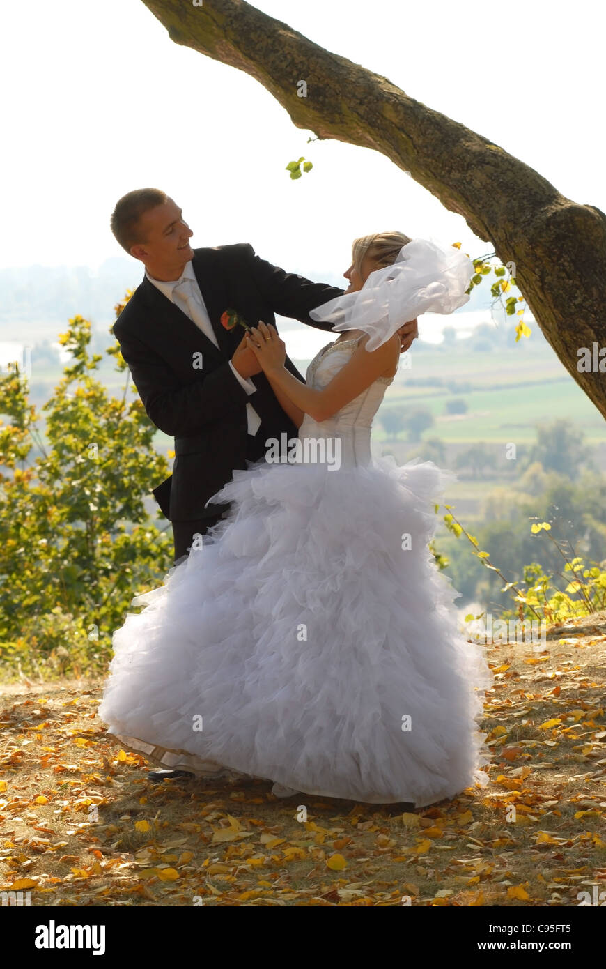picture bride and groom wedding Stock Photo - Alamy