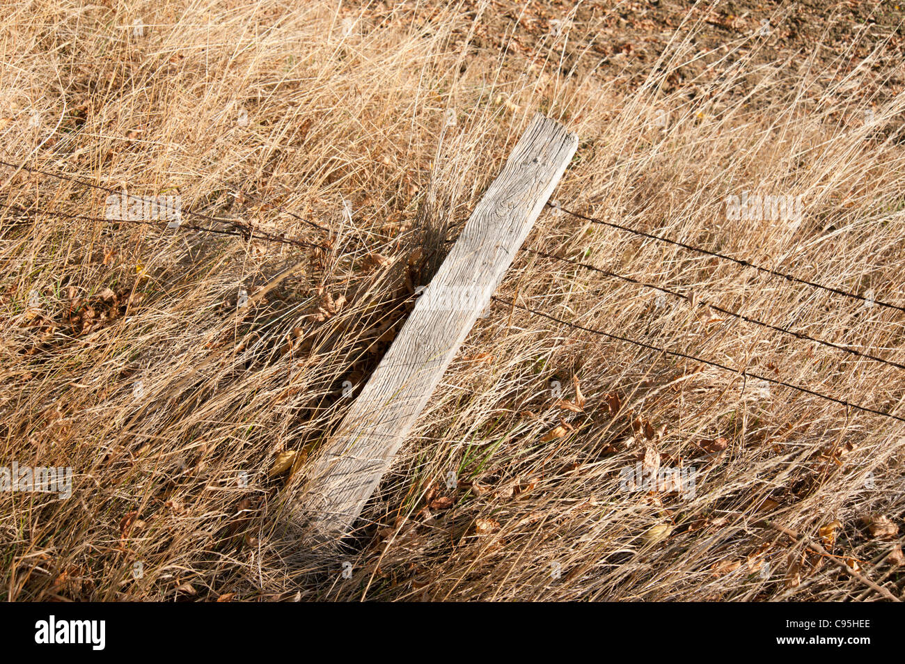 Farmland decline hi-res stock photography and images - Alamy