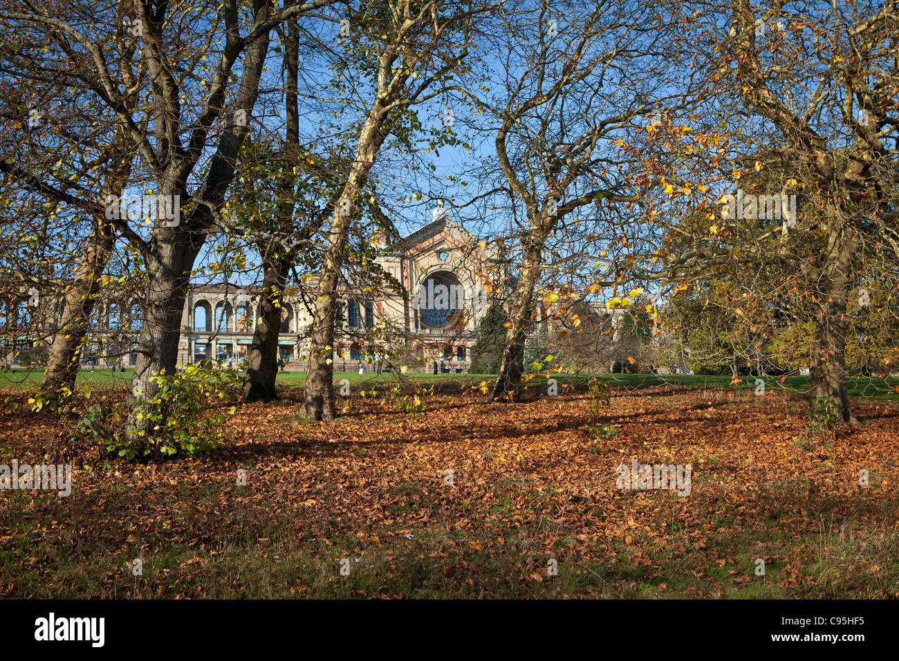 Alexandra Palace seen through Autumn trees Stock Photo - Alamy