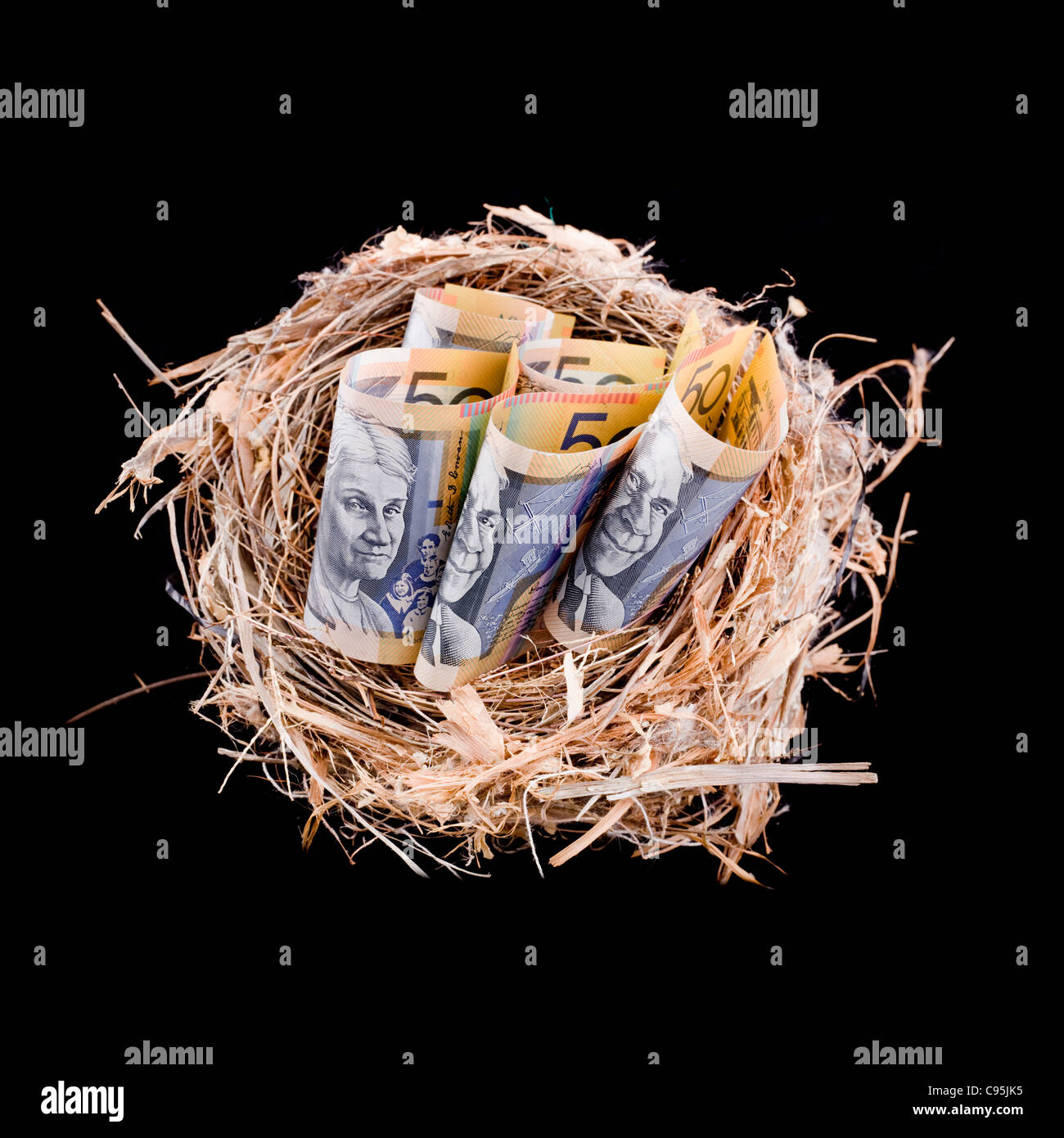 5 x $50 Australian dollar notes in a bird's nest Stock Photo - Alamy