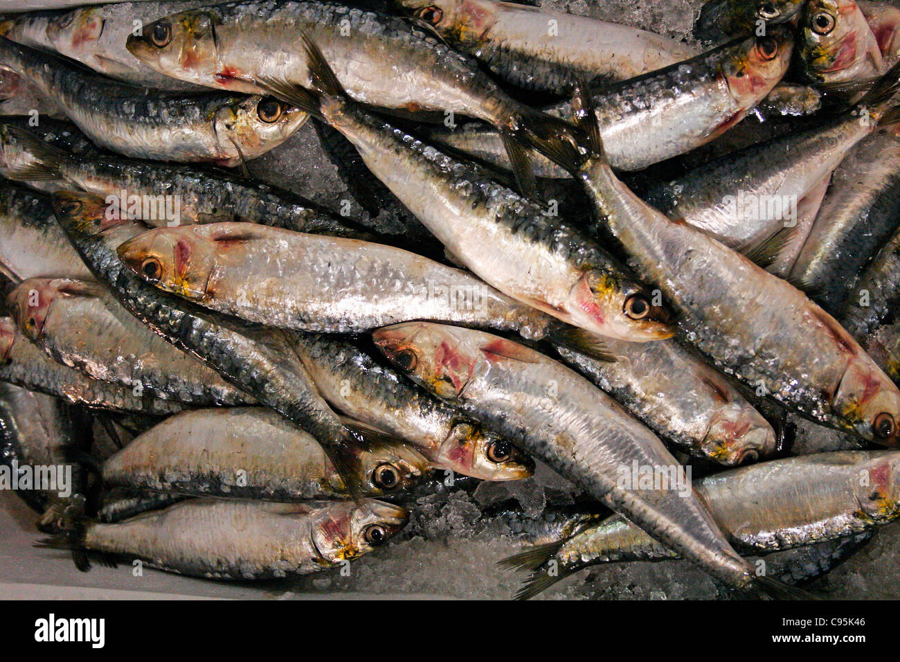 fresh caught fish Stock Photo - Alamy