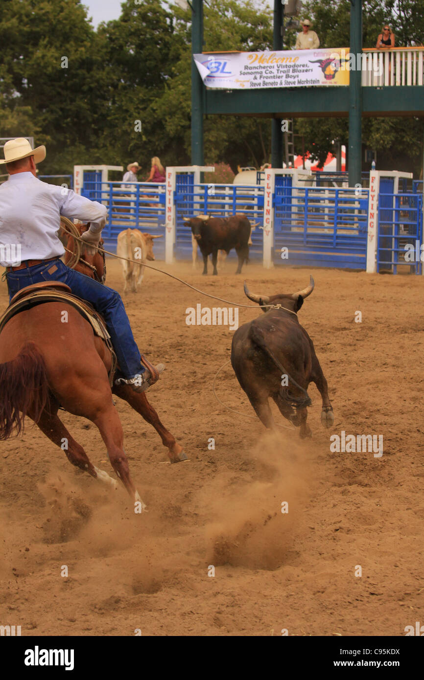 Cowboy wrangler hi-res stock photography and images - Alamy