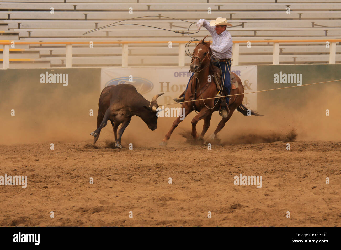 Calf Roping Stock Photos & Calf Roping Stock Images - Alamy