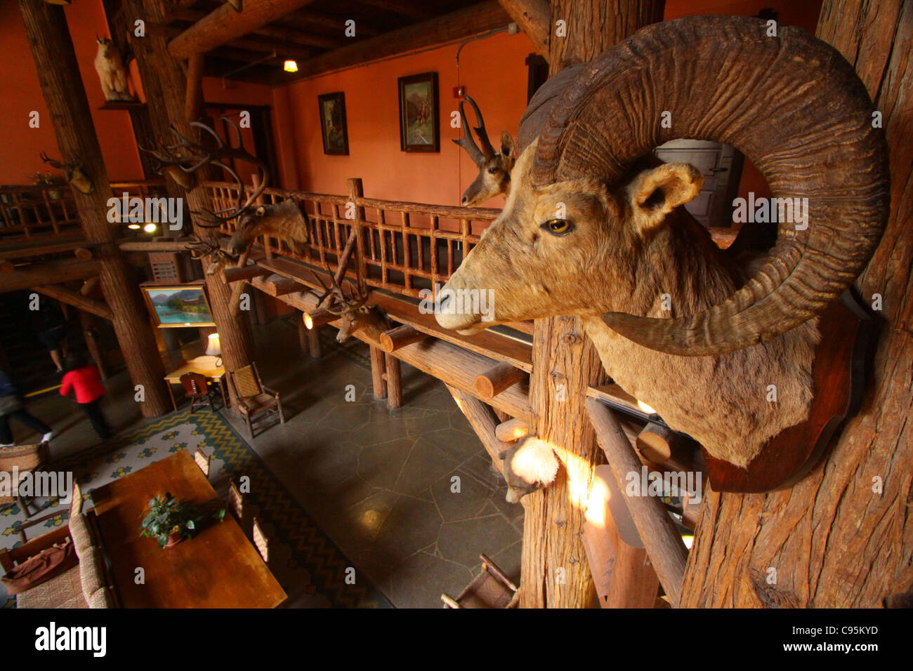 Lobby Of Lake Mcdonald Lodge High Resolution Stock Photography and ...
