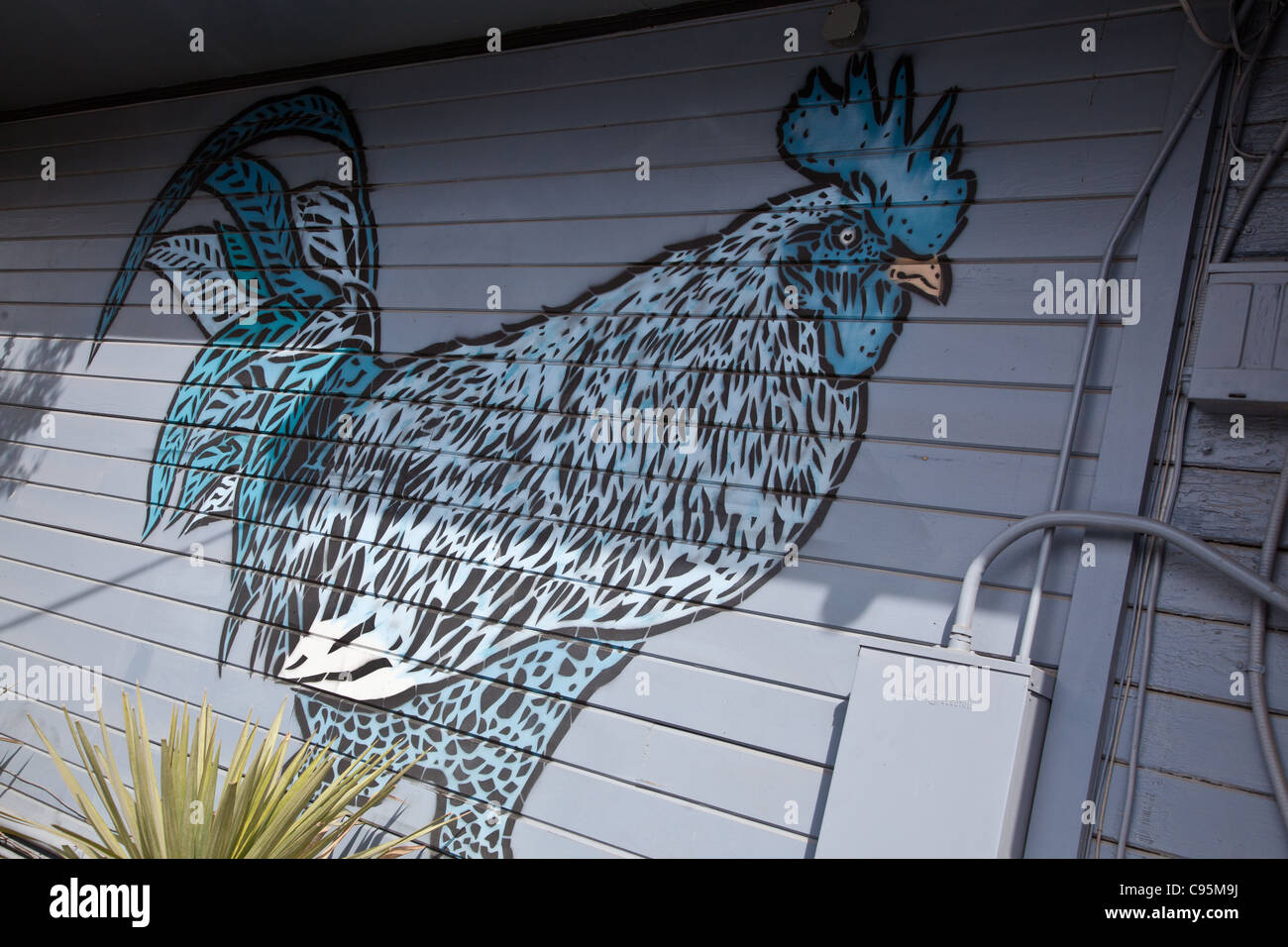 Broken Crow Wheatpaste Street Art in Austin, Texas Stock Photo - Alamy