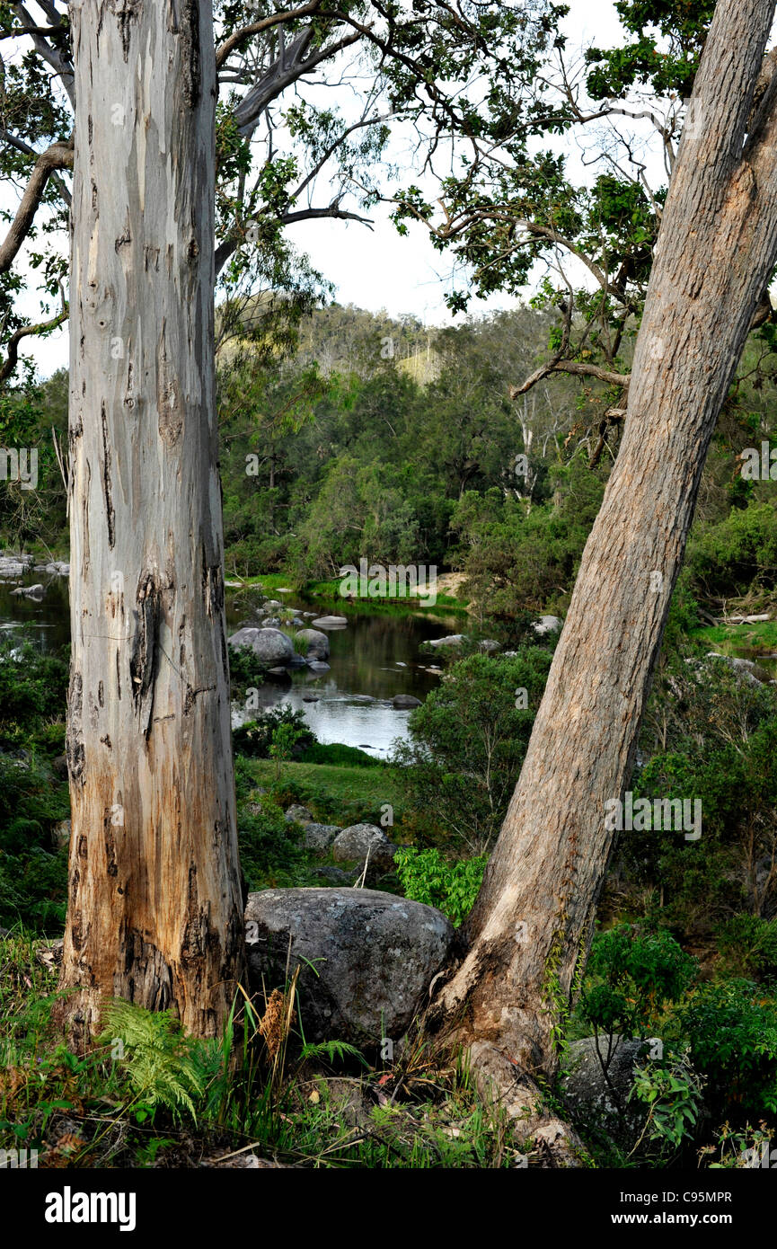 A beautiful natural river in Australia Stock Photo - Alamy