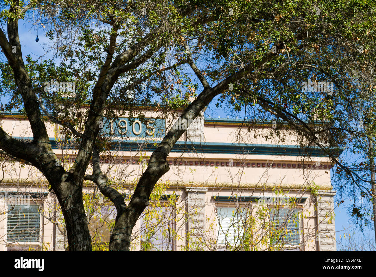 Old building seen through tree Stock Photo - Alamy