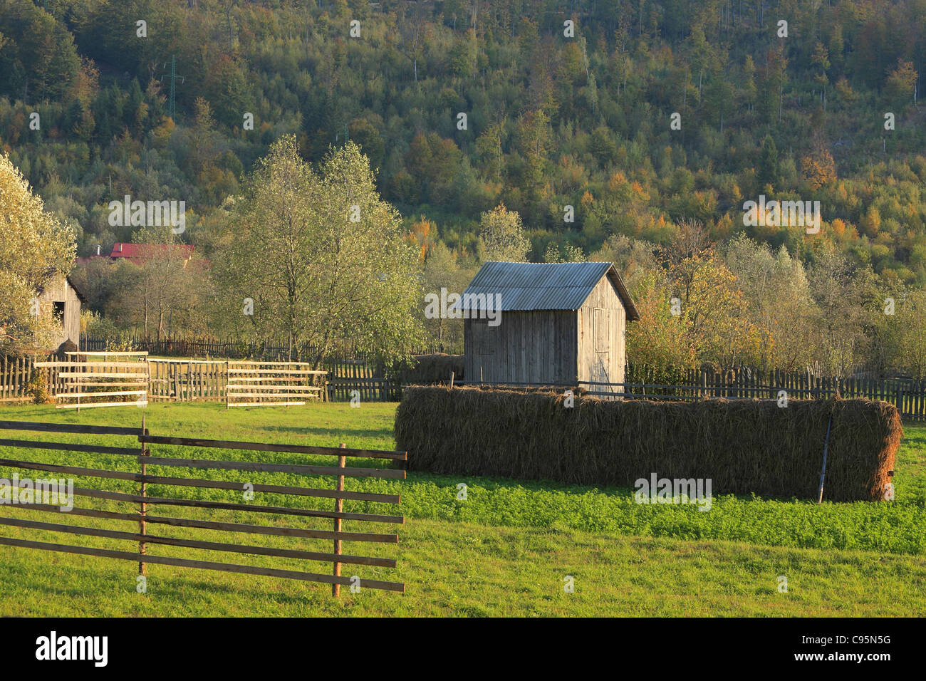 Bucovina rural hi-res stock photography and images - Alamy