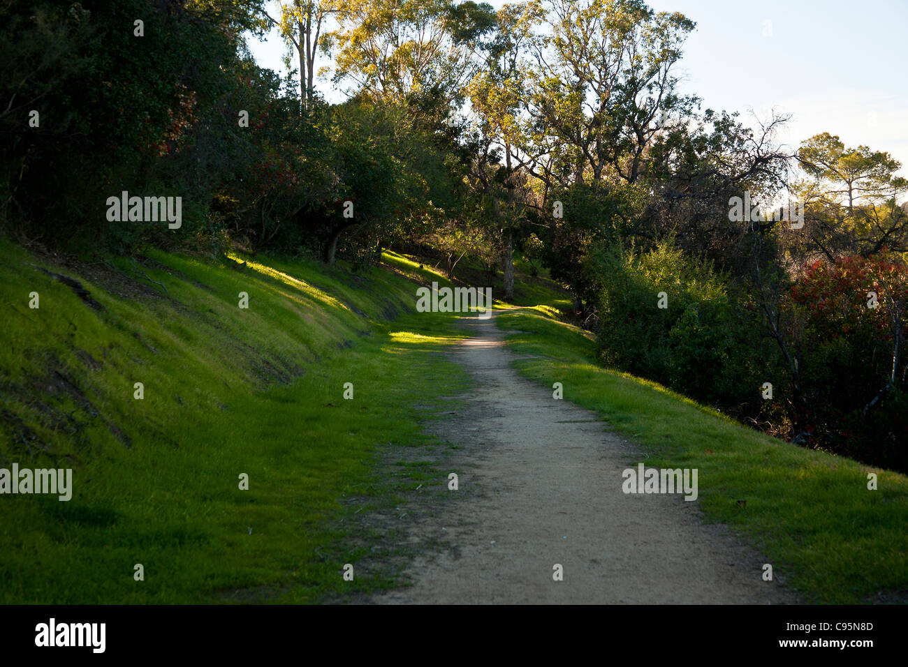 Walking trail with green grass and trees Stock Photo - Alamy