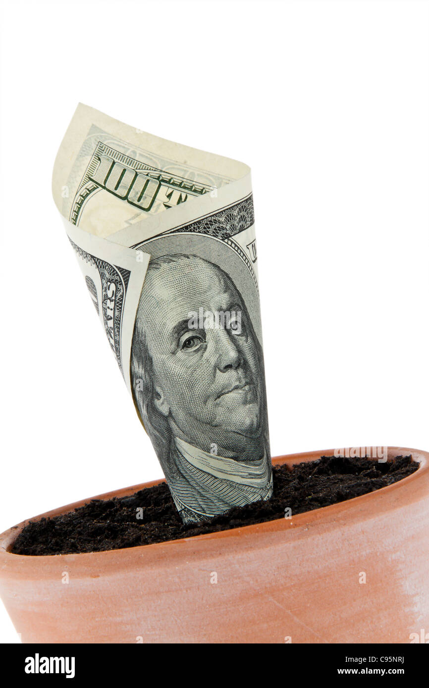 A dollar bill in flower pot. Symbol rates, growth Stock Photo - Alamy