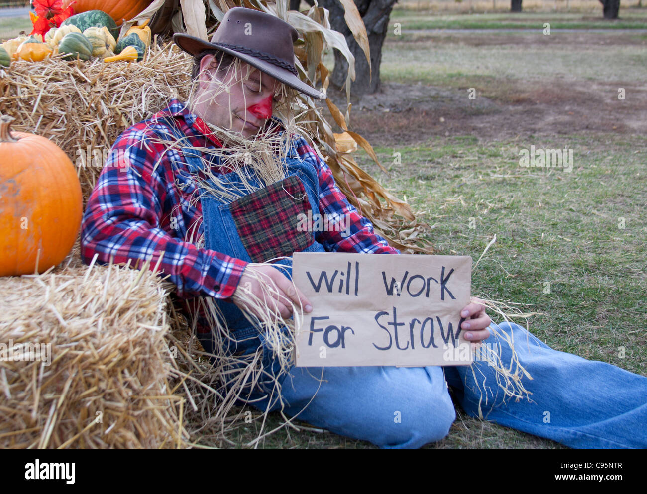 Panhandling scarecrow napping on the job Stock Photo - Alamy