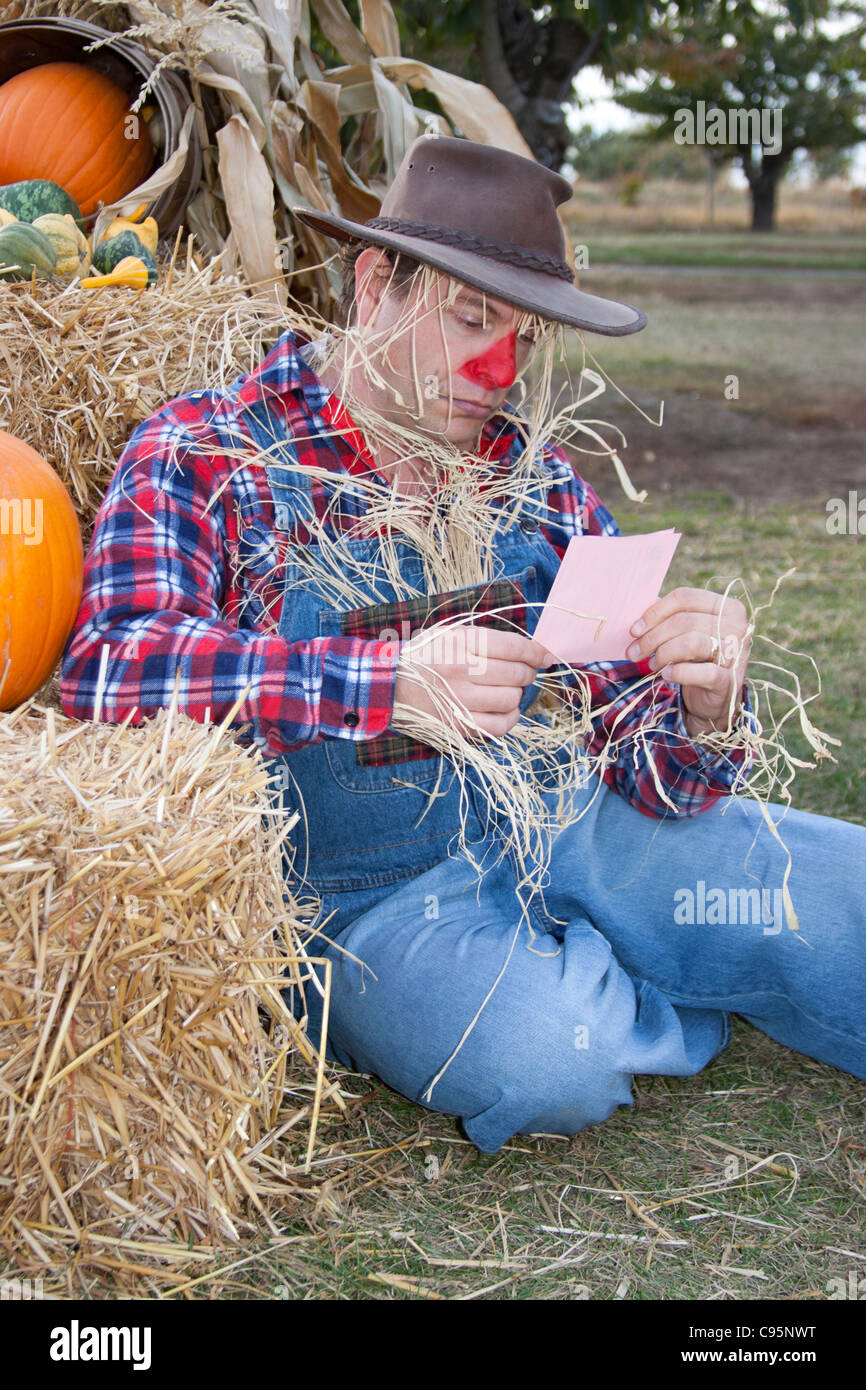 The scarecrow gets a pink slip at the end of the season Stock Photo - Alamy