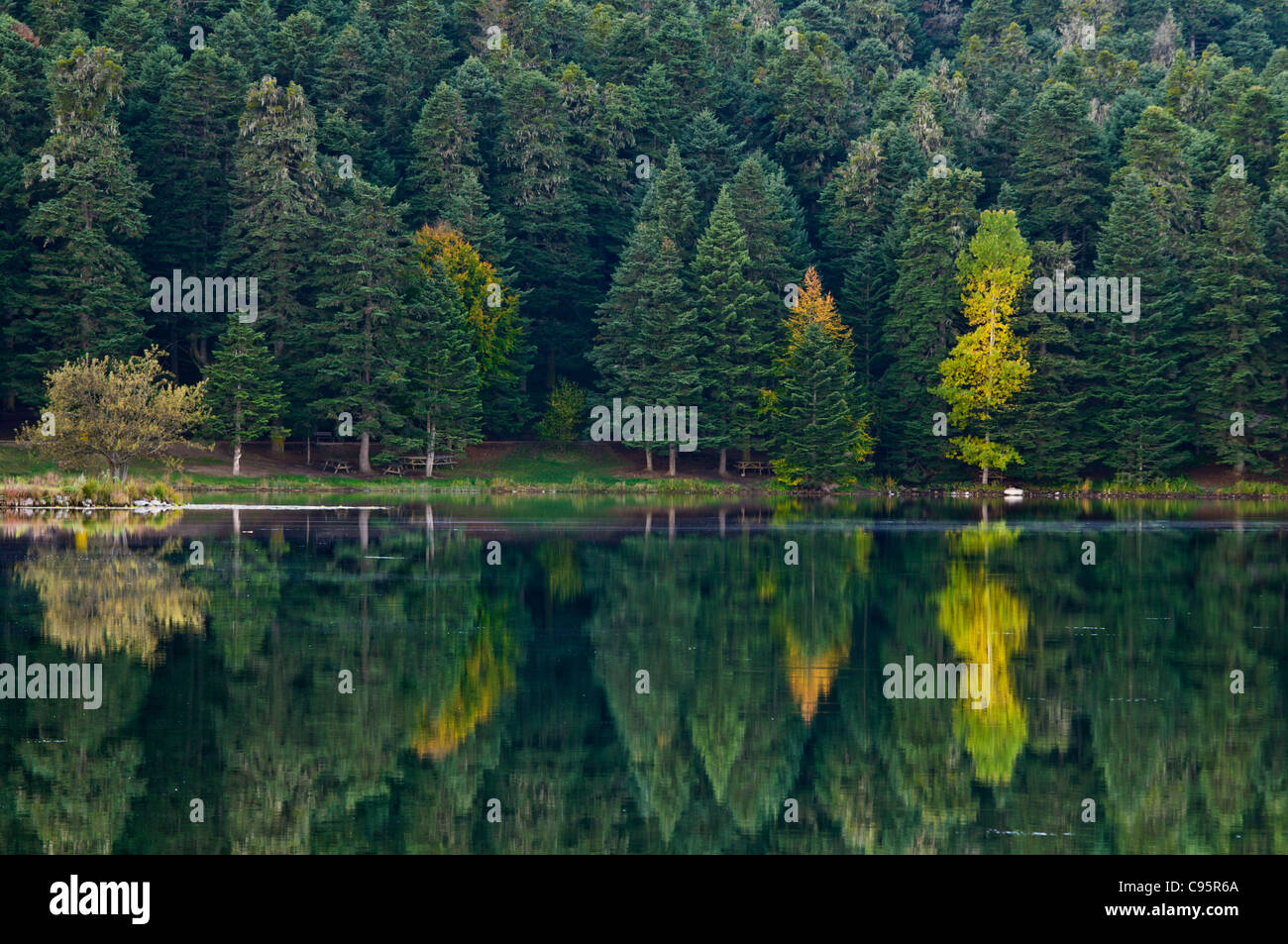 Fall colours in Golcuk Lake,Bolu,Turkey Stock Photo - Alamy