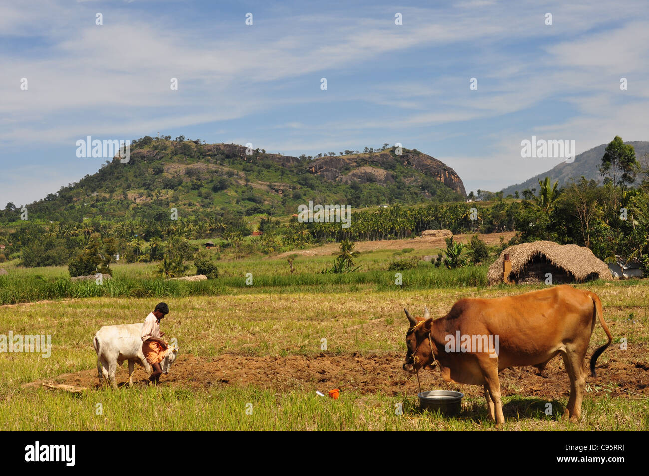 Marginal farmer hi-res stock photography and images - Alamy