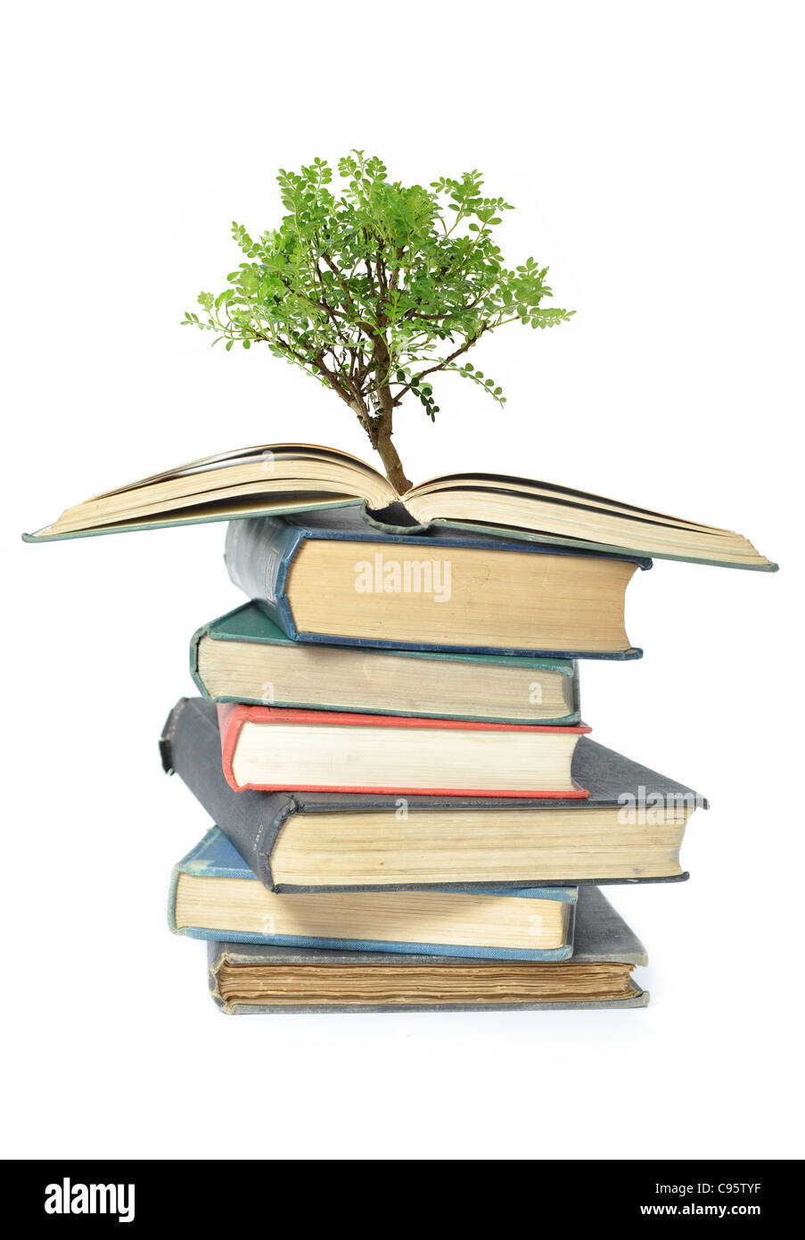 Isolated image of a tree growing from an open book Stock Photo - Alamy