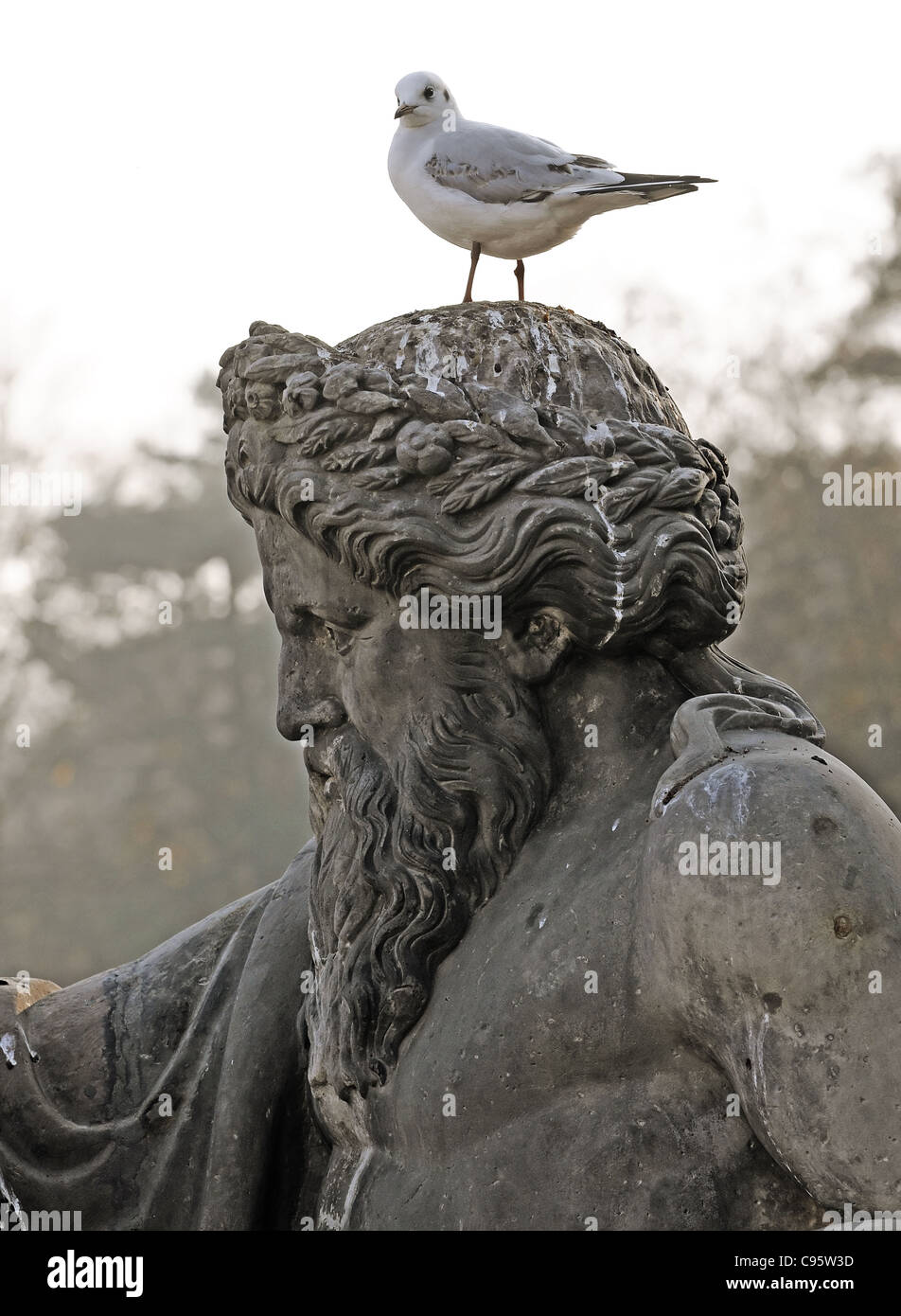 Bird sitting on statue in Royal Baths Park (Lazienki Krolewskie) in ...