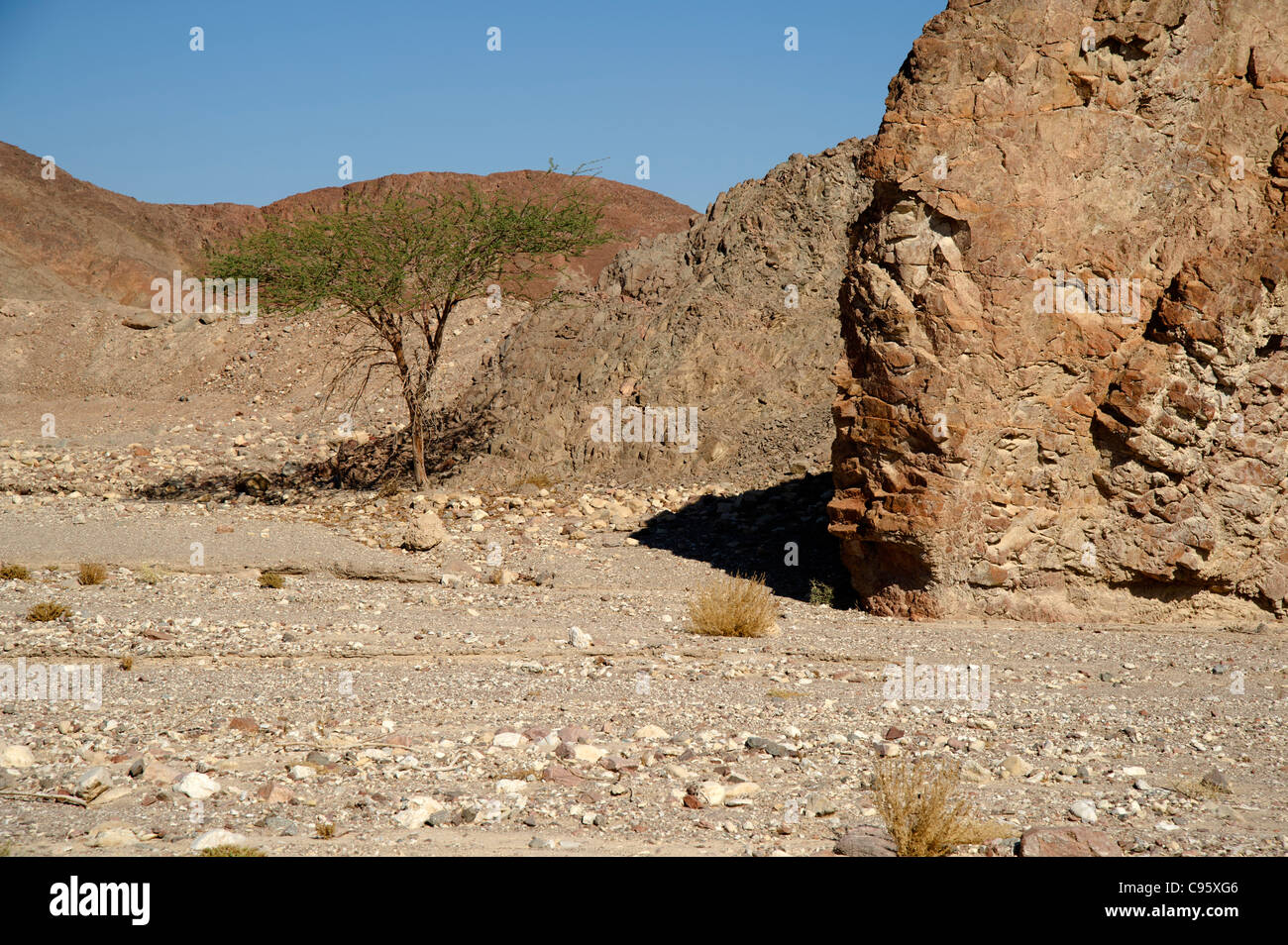 Southern Negev Desert,southern Arava valley ,Great Rift Valley, Eilat ...