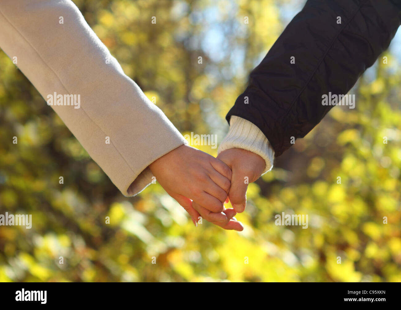 Young couple holding hands in the autumn forest. Close up Stock Photo ...