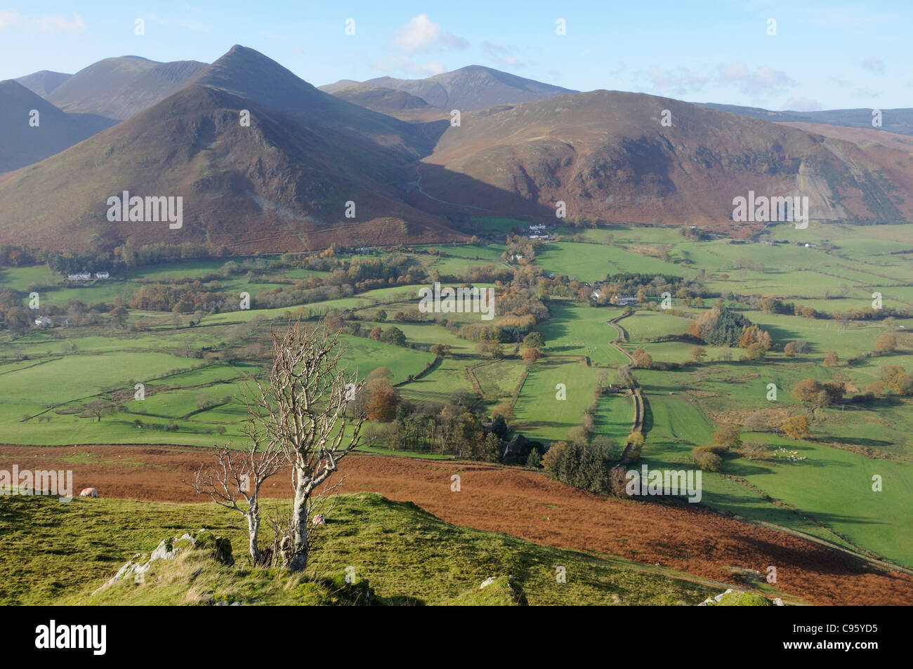 Causey pike stair hi-res stock photography and images - Alamy