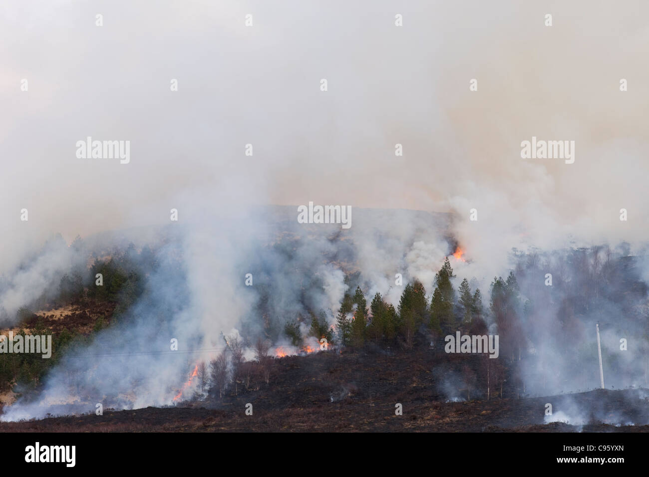 Highlands wildfire hi-res stock photography and images - Alamy