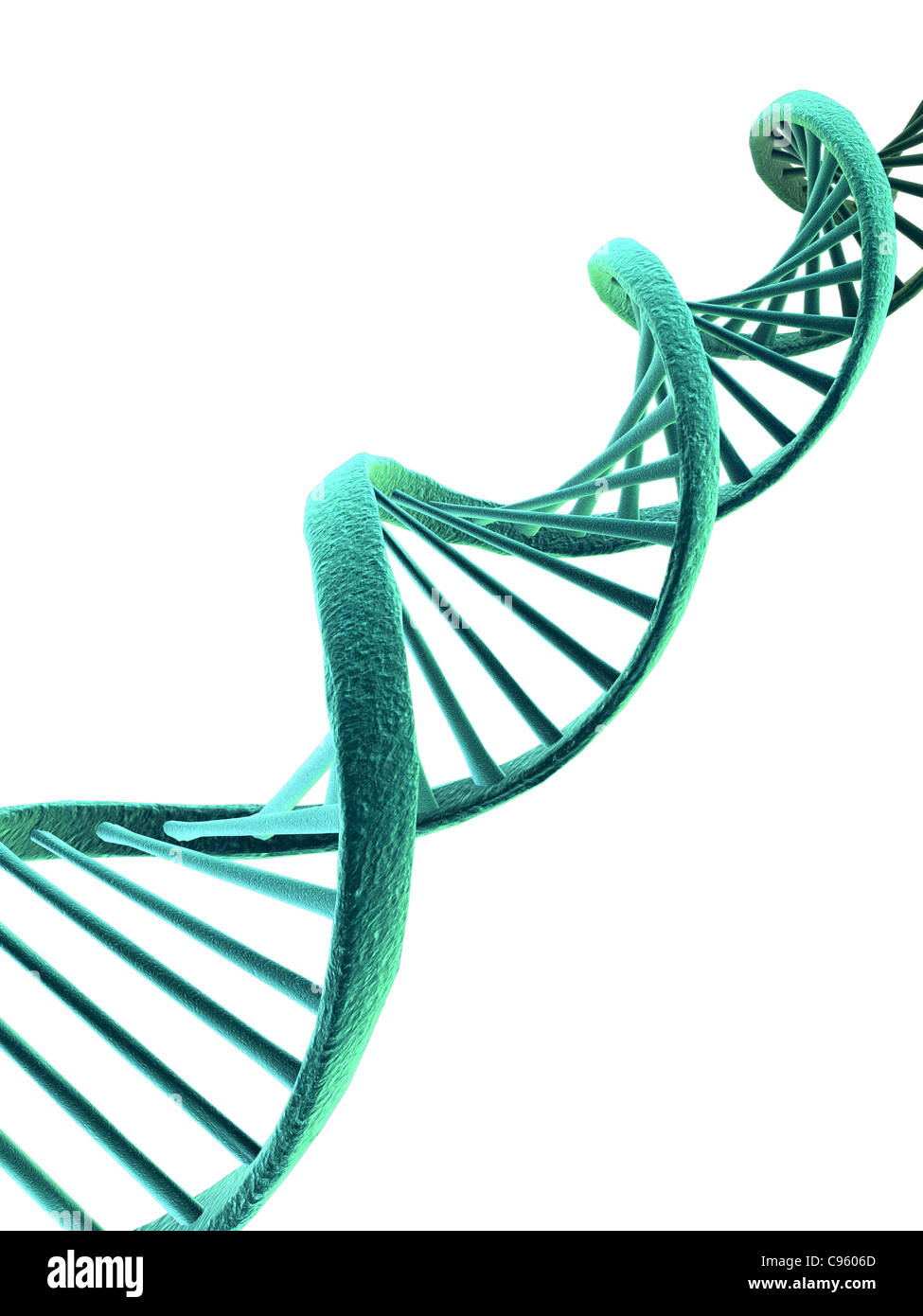 Artwork image Cut Out Stock Images & Pictures - Alamy