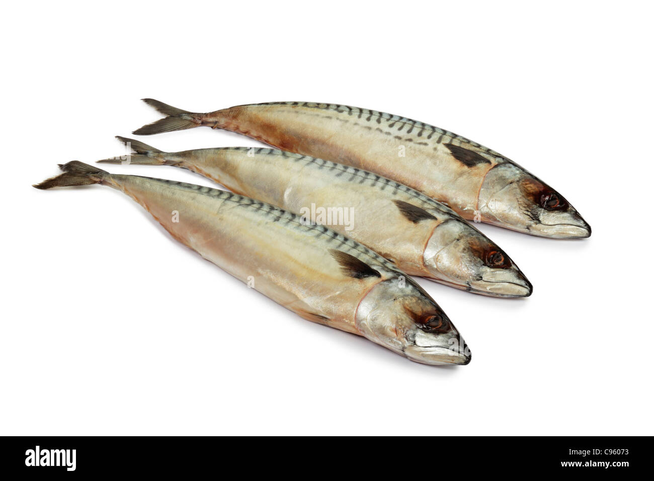 Mackerel fish devon hi-res stock photography and images - Alamy