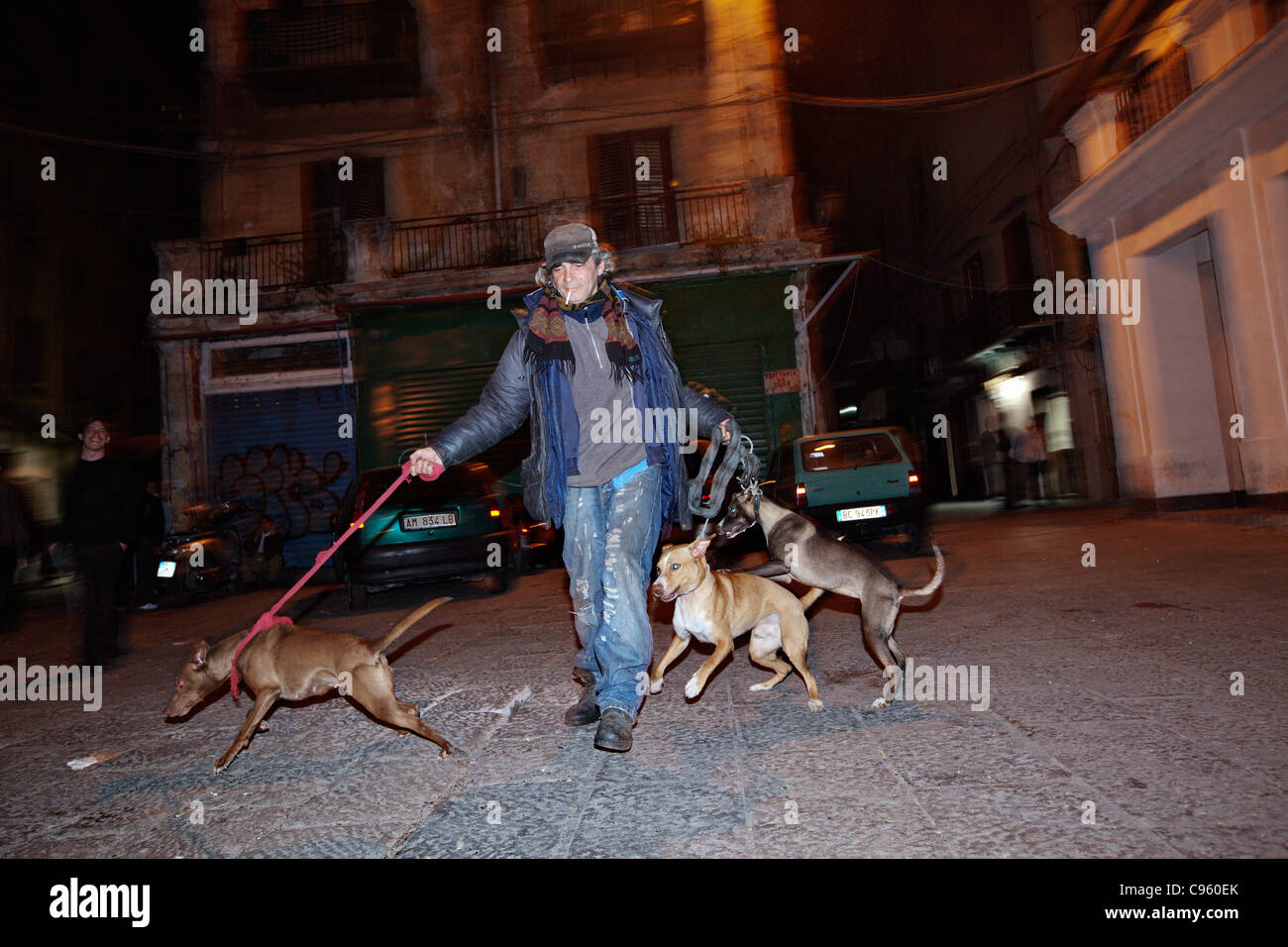 Man walking his dogs in the centre of Palermo, Sicily, Italy Stock ...