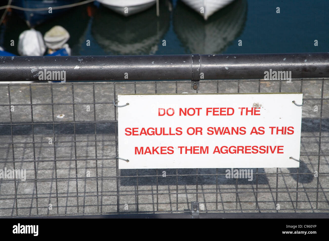 Seagull warning sign hi-res stock photography and images - Alamy