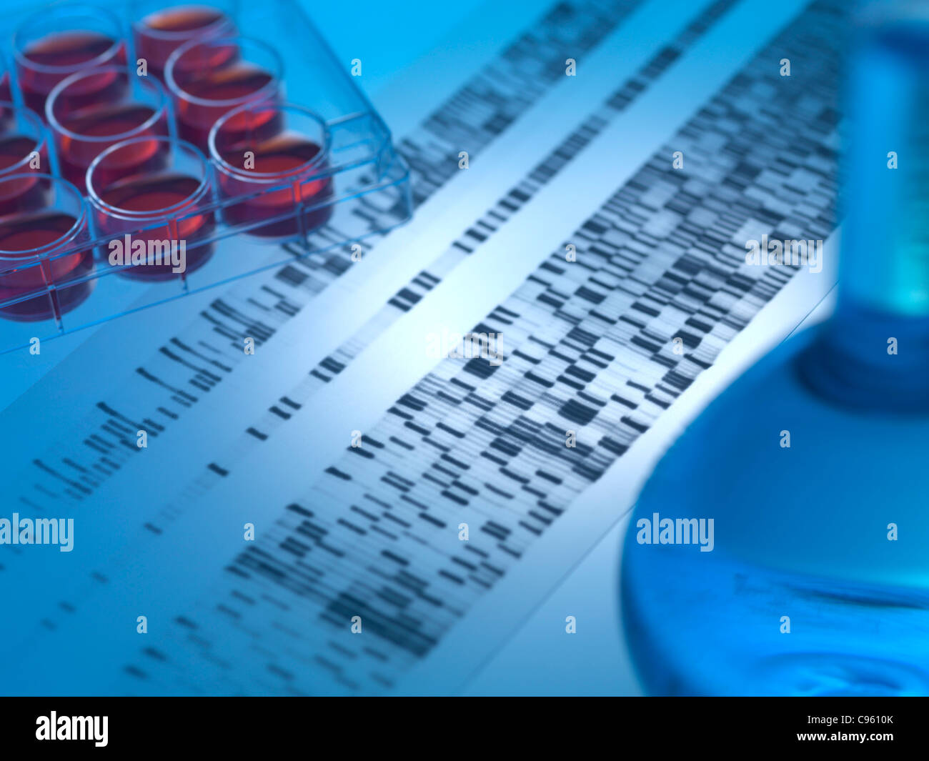 Genetic research. Medium tray sitting on a DNA (deoxyribonucleic acid ...