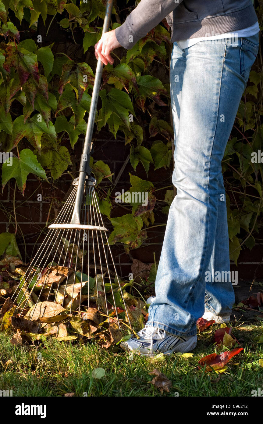 autumn season - woman work in garden.nature Stock Photo - Alamy