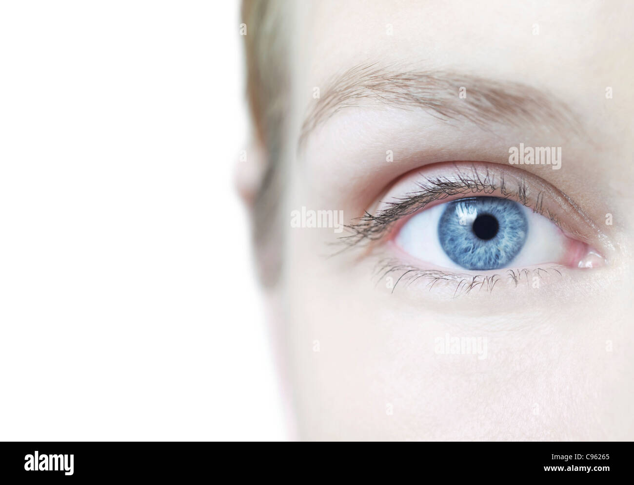 Horizontal section human eye hi-res stock photography and images - Alamy