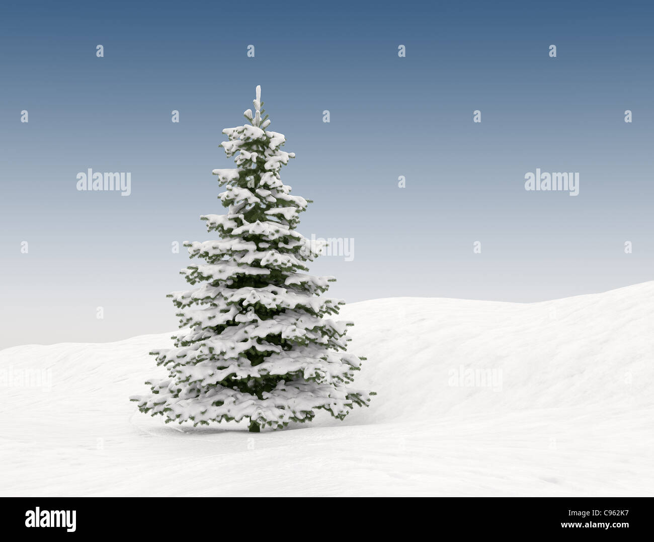Single snow covered pine tree Stock Photo - Alamy
