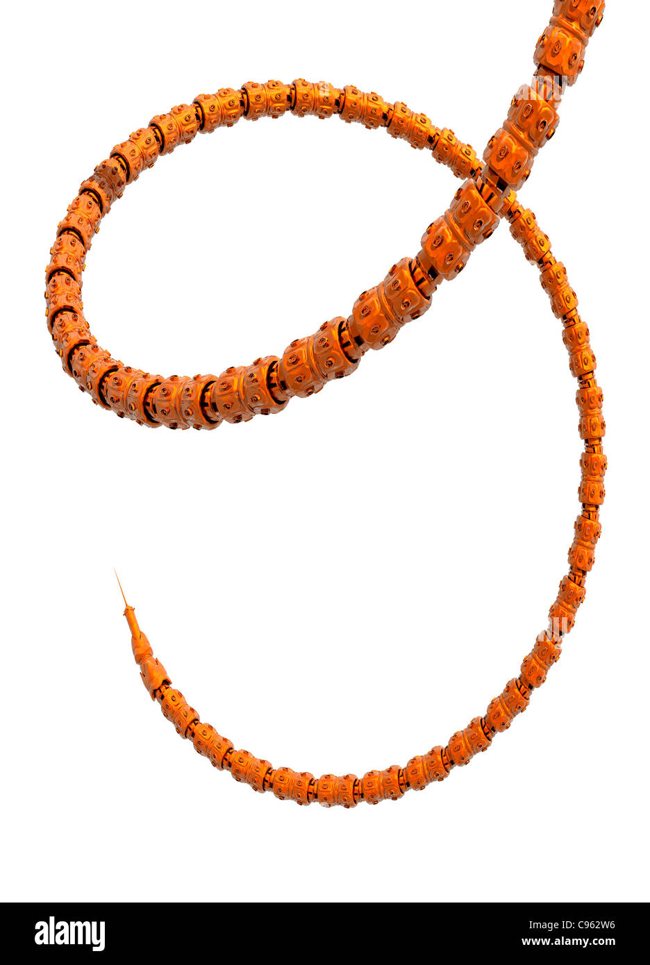 Surgical snake robot, conceptual computer artwork Stock Photo - Alamy