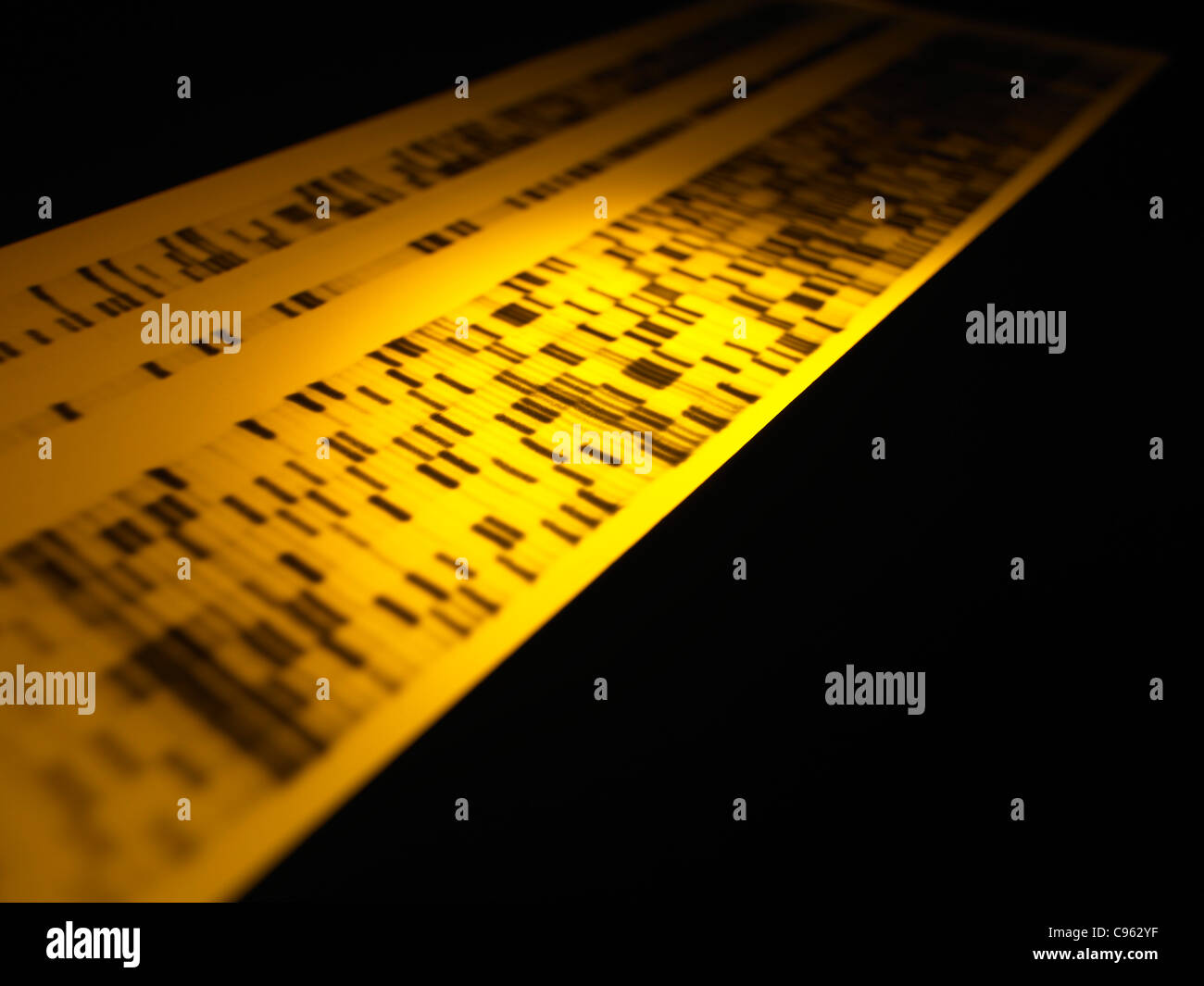 Human dna autoradiogram hi-res stock photography and images - Alamy