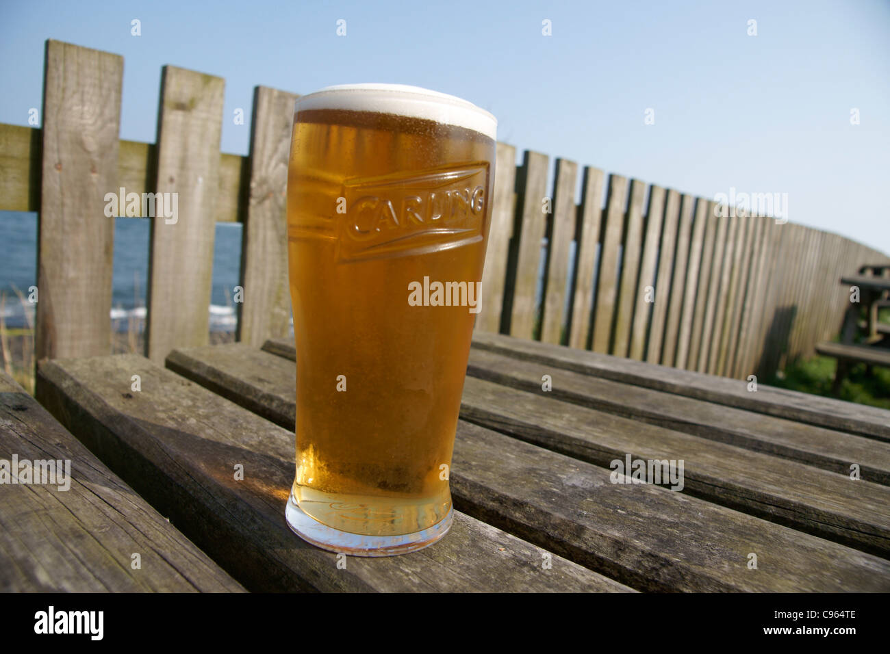 A man drinking a pint of beer in the sunshine, England, UK Stock Photo ...