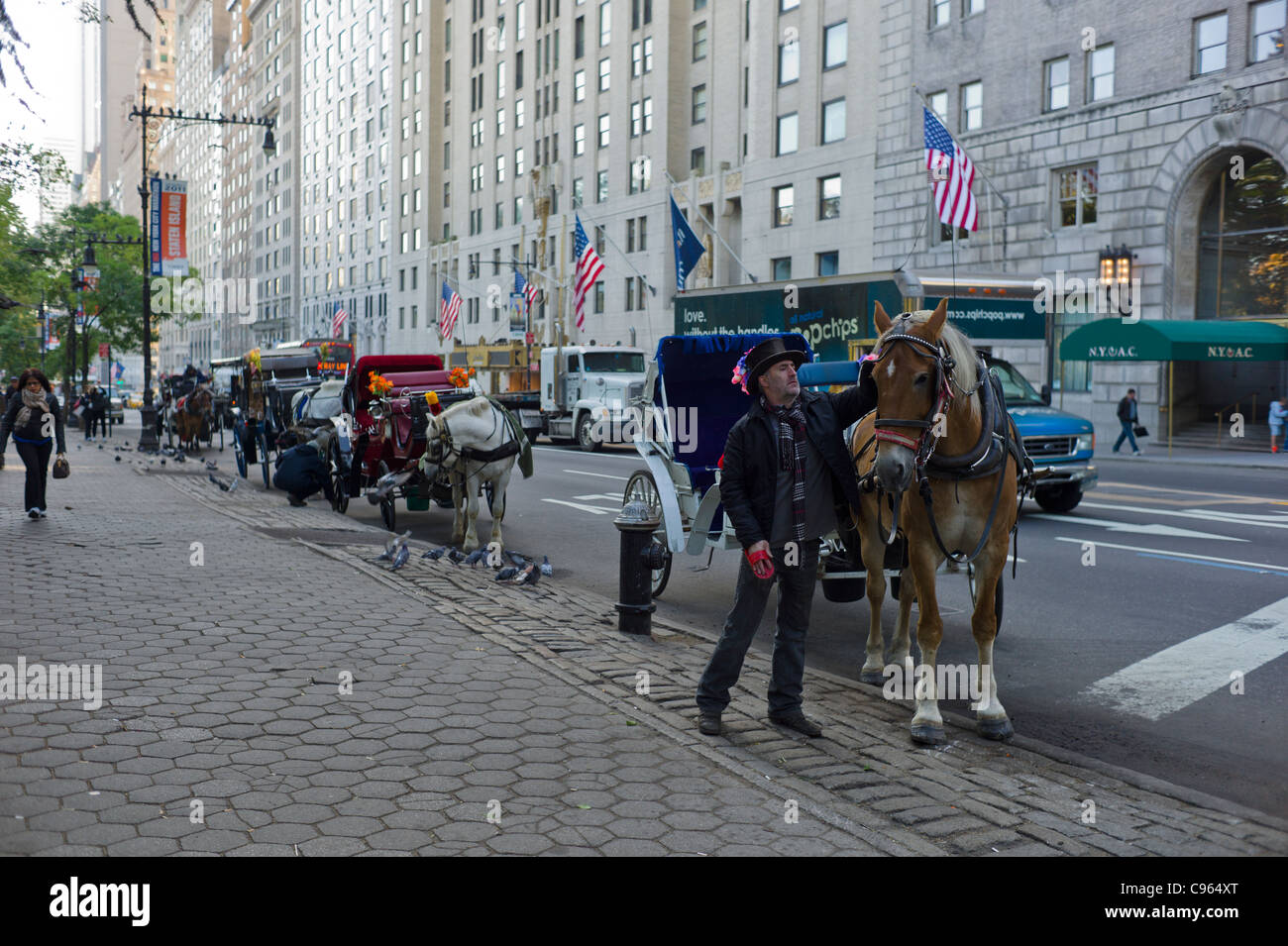 Horse Drawn Carriage with Driver Stock Photo - Alamy