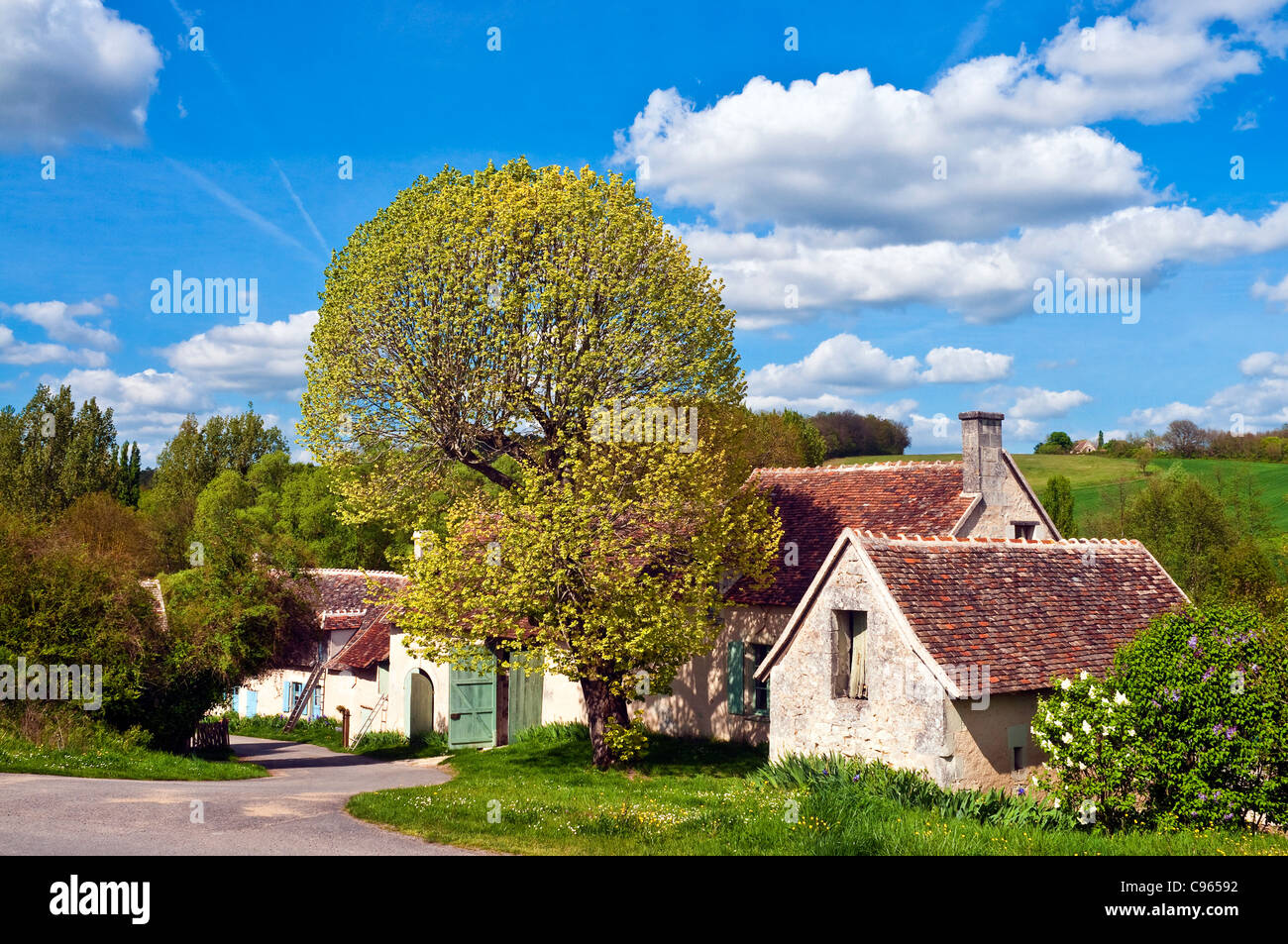Lime tree and French farmhouse - France Stock Photo - Alamy