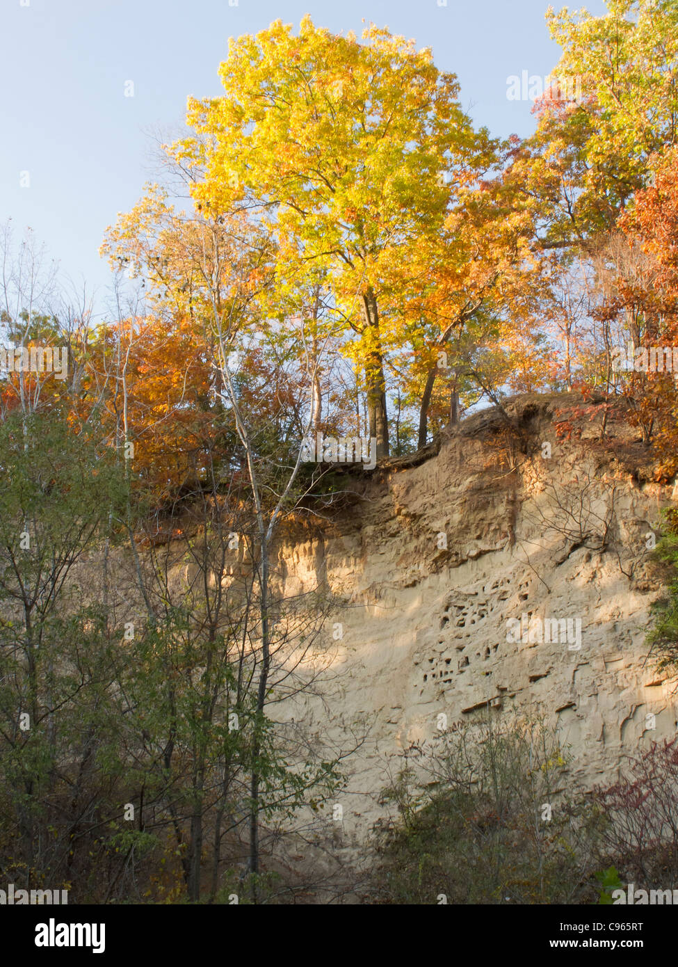 Sandy cliff with nests Stock Photo - Alamy