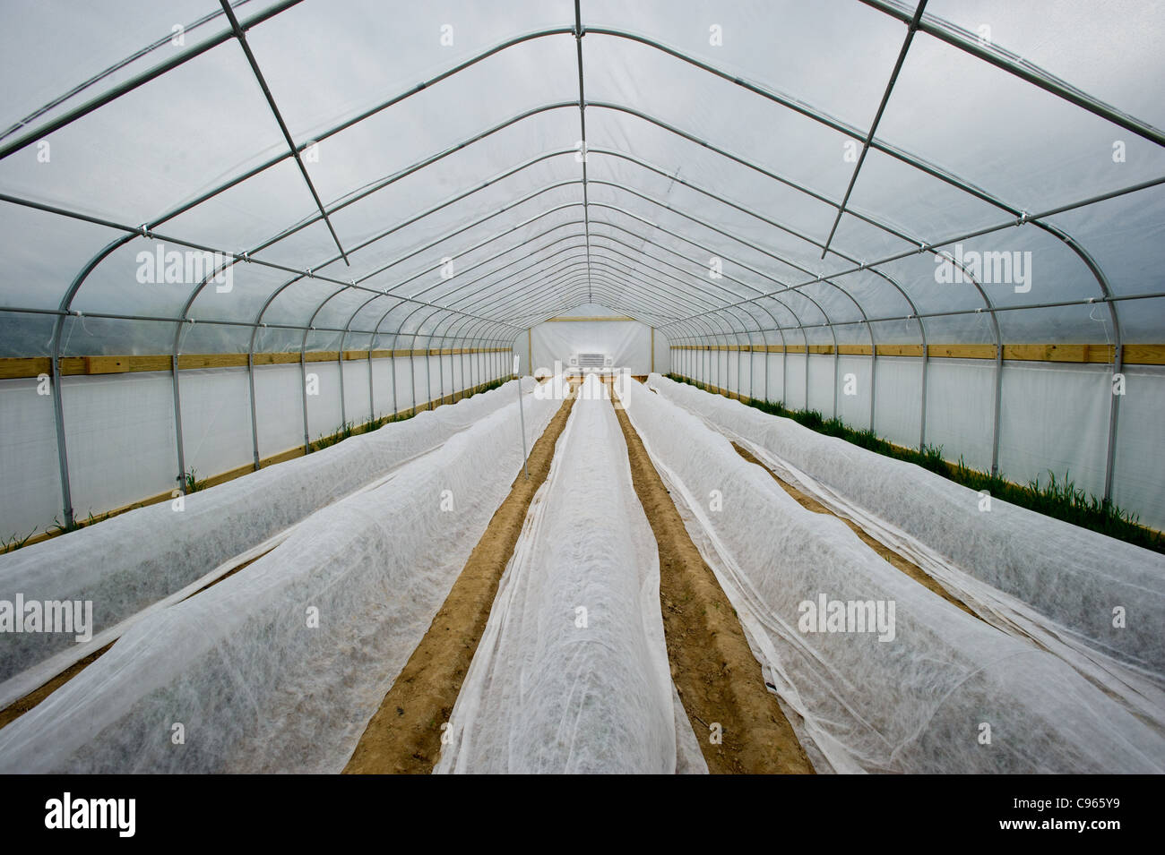 Greenhouse crops hi-res stock photography and images - Alamy
