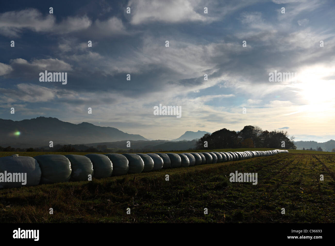 Straw Bails High Resolution Stock Photography and Images - Alamy