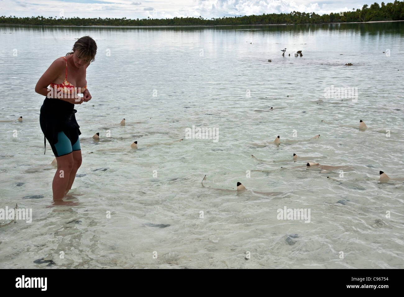 Fish tuamotu hi-res stock photography and images - Alamy