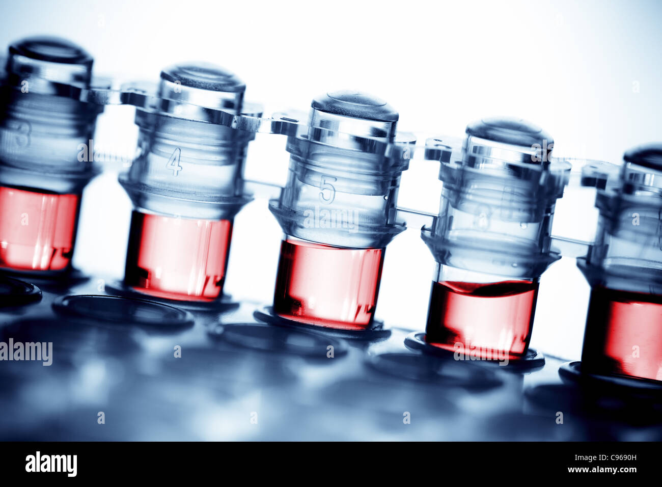 Cell cultures in micro tubes with lids Stock Photo - Alamy