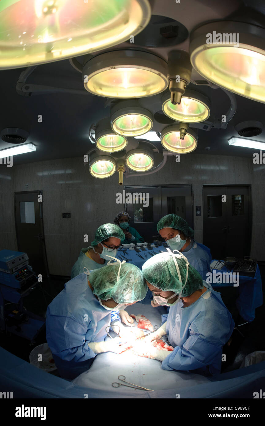 Doctors performing gynecological surgery in operating room Stock Photo ...