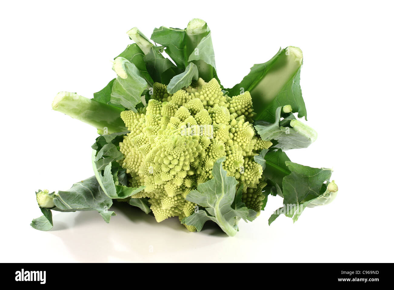 fresh Romanesco vegetables with leaves on a white background Stock ...