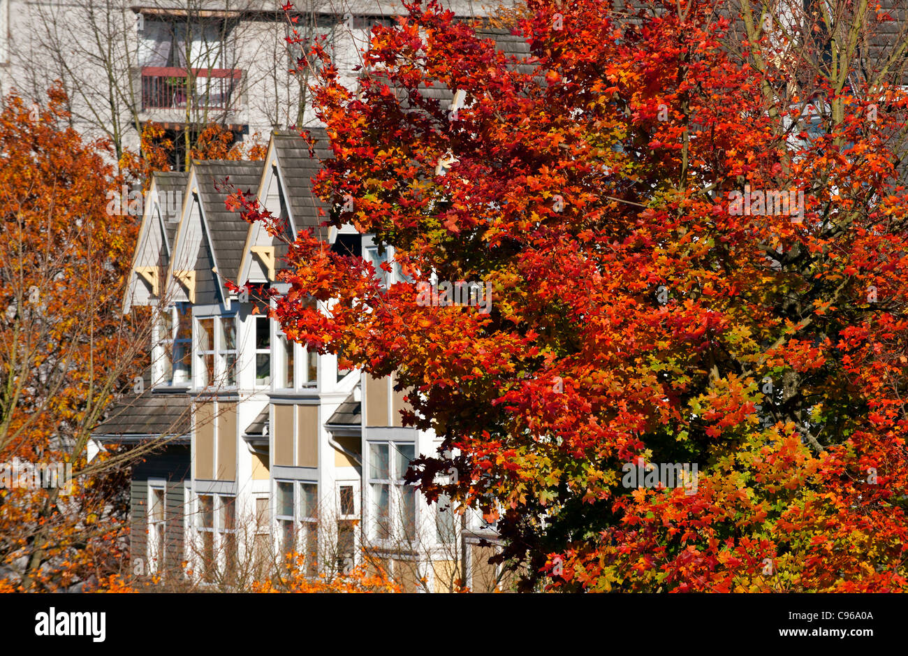 Red townhouse hi-res stock photography and images - Alamy