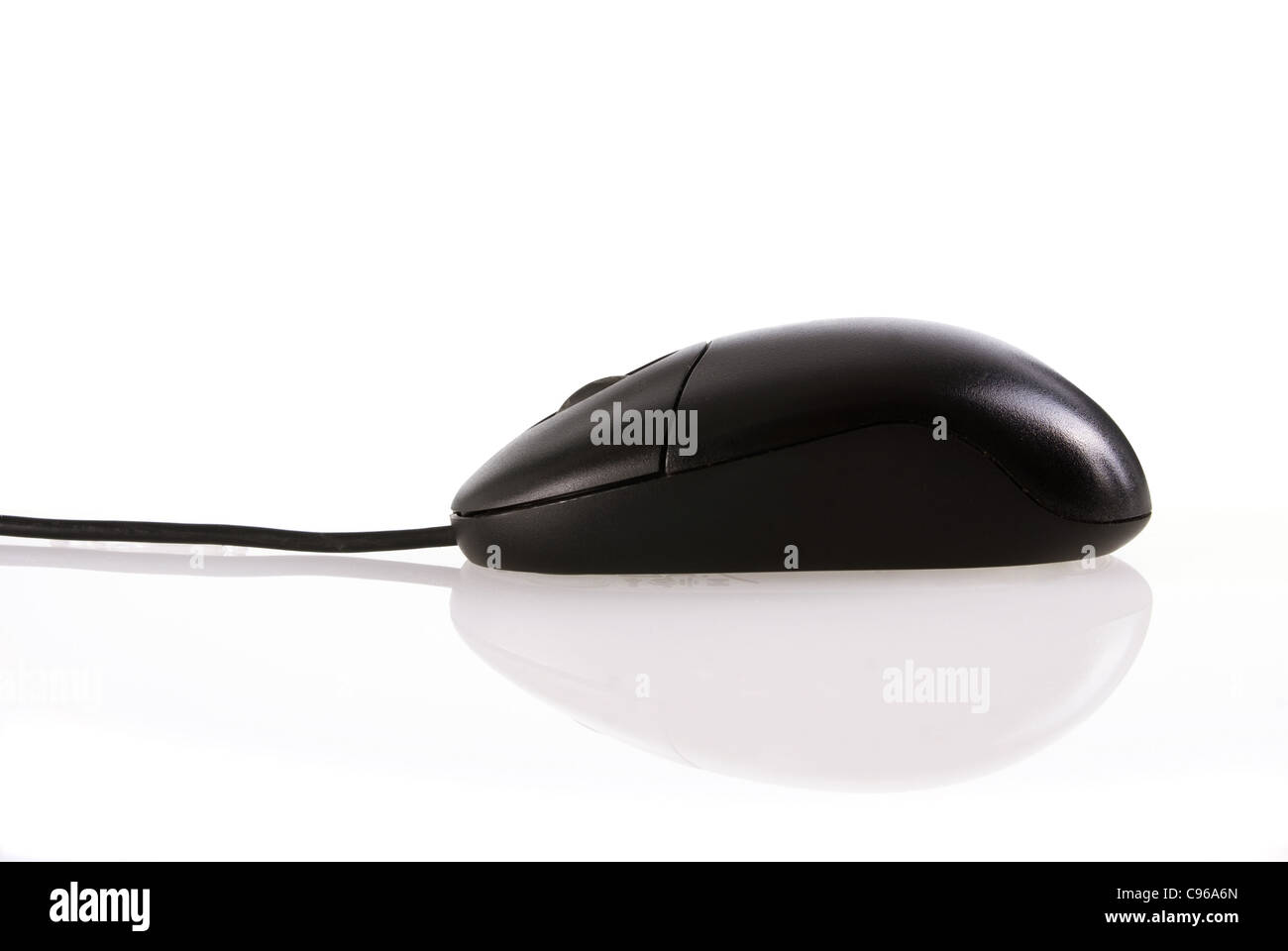 Single black mouse isolated with reflection on white background ...