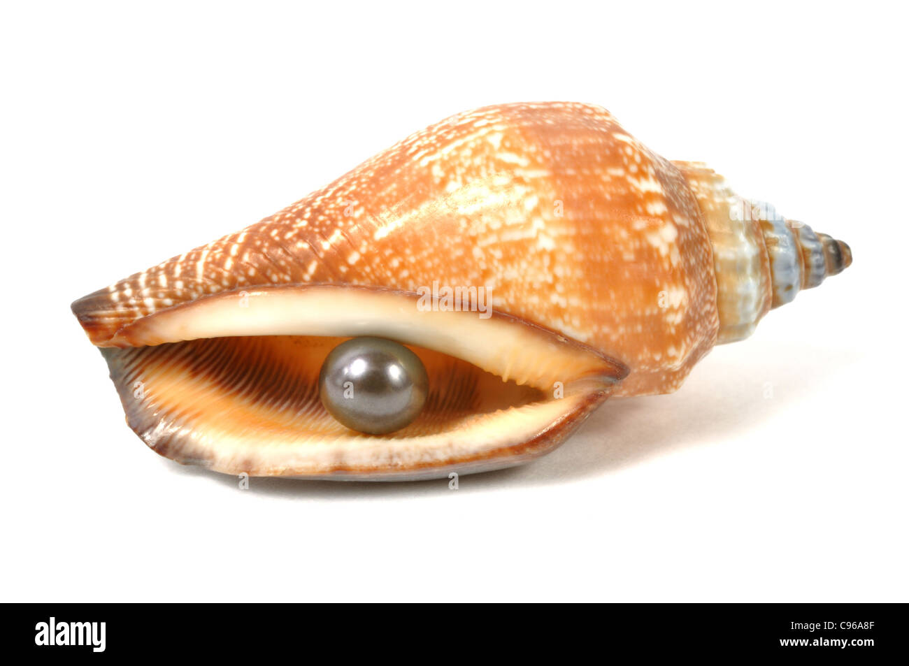 Seashell shop hi-res stock photography and images - Alamy